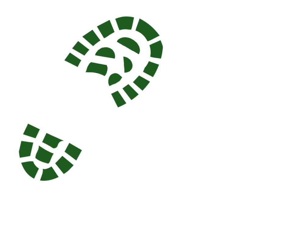 BOOTPRINT-VECTOR-GREEN-withouttext – The Beyonder